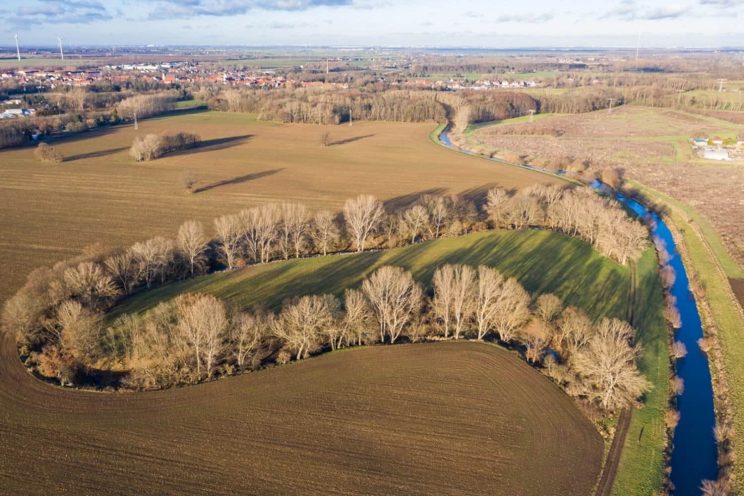 Zurück zum lebendigen Fluss: Die Weiße Elster soll bei Pegau ihren ...