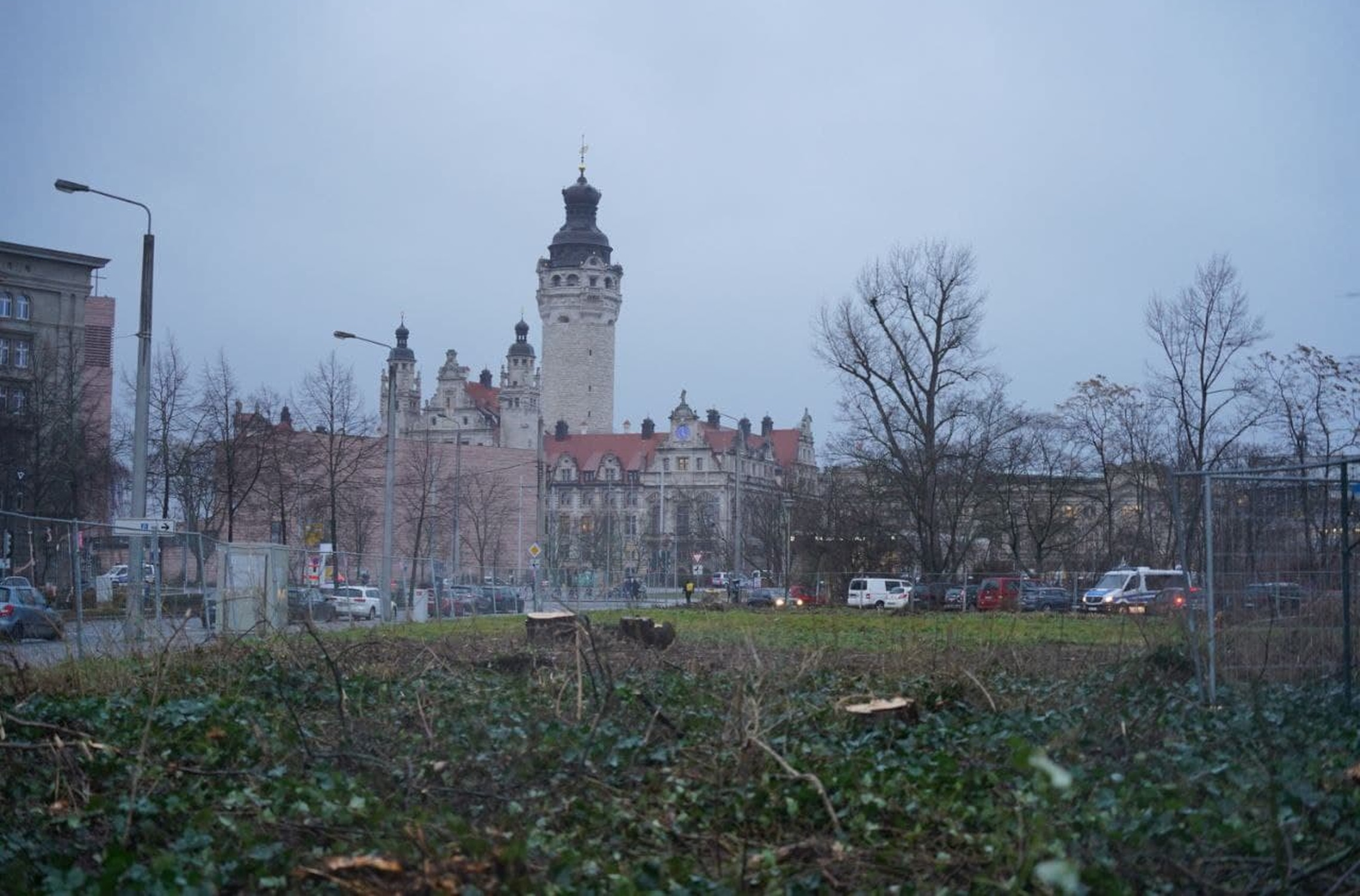 Ungenehmigte Fällungen: NABU-Klage zum Wilhelm-Leuschner-Platz ...