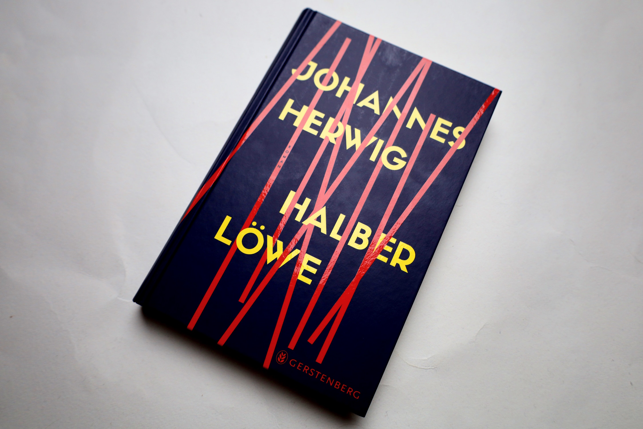 Halber Löwe: Ein Jugendroman aus den rauen 1990er Jahren in Leipzig ...