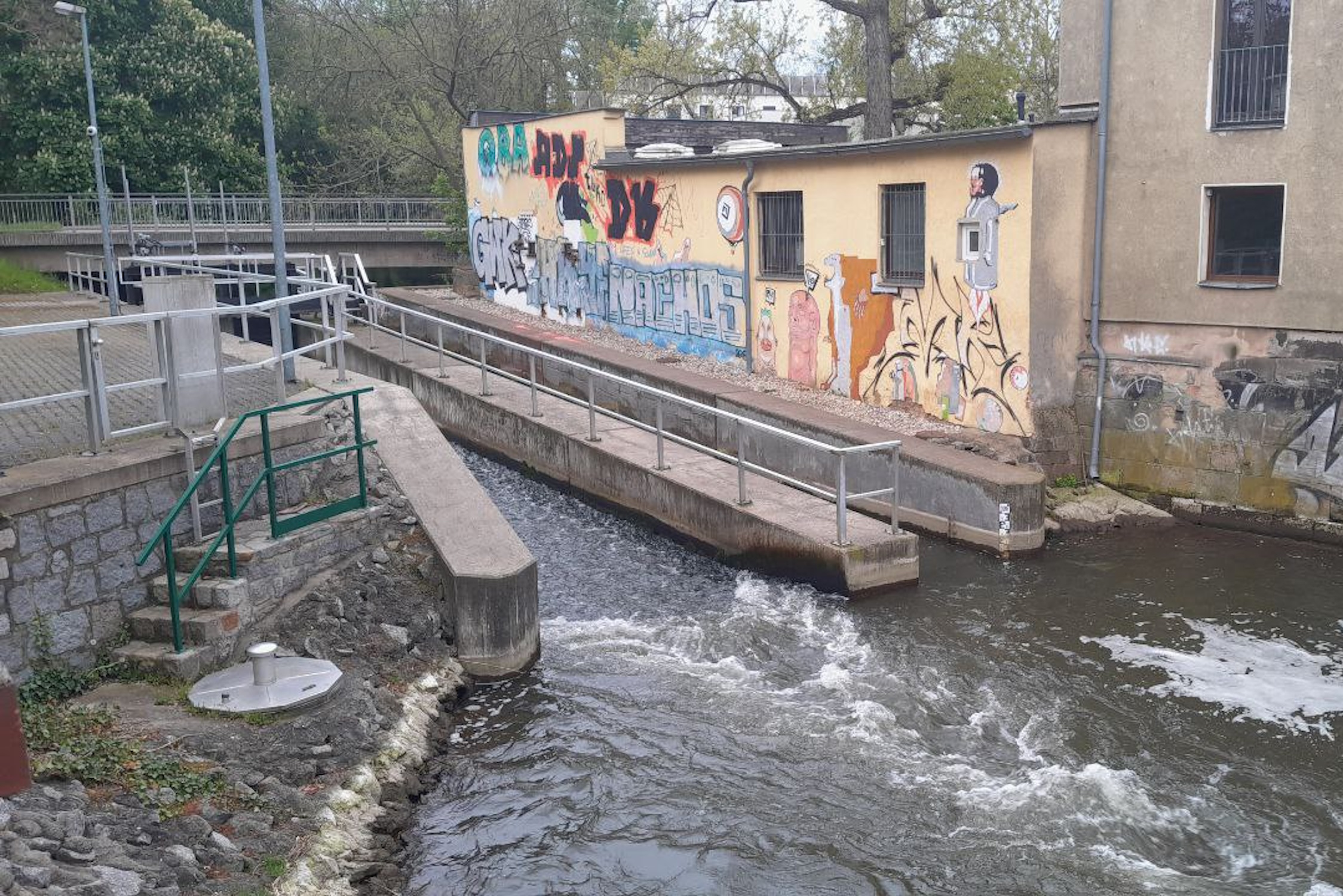 Paddeln auf eigene Gefahr? Stadt hat das Wehr an der Kleinen Luppe ...