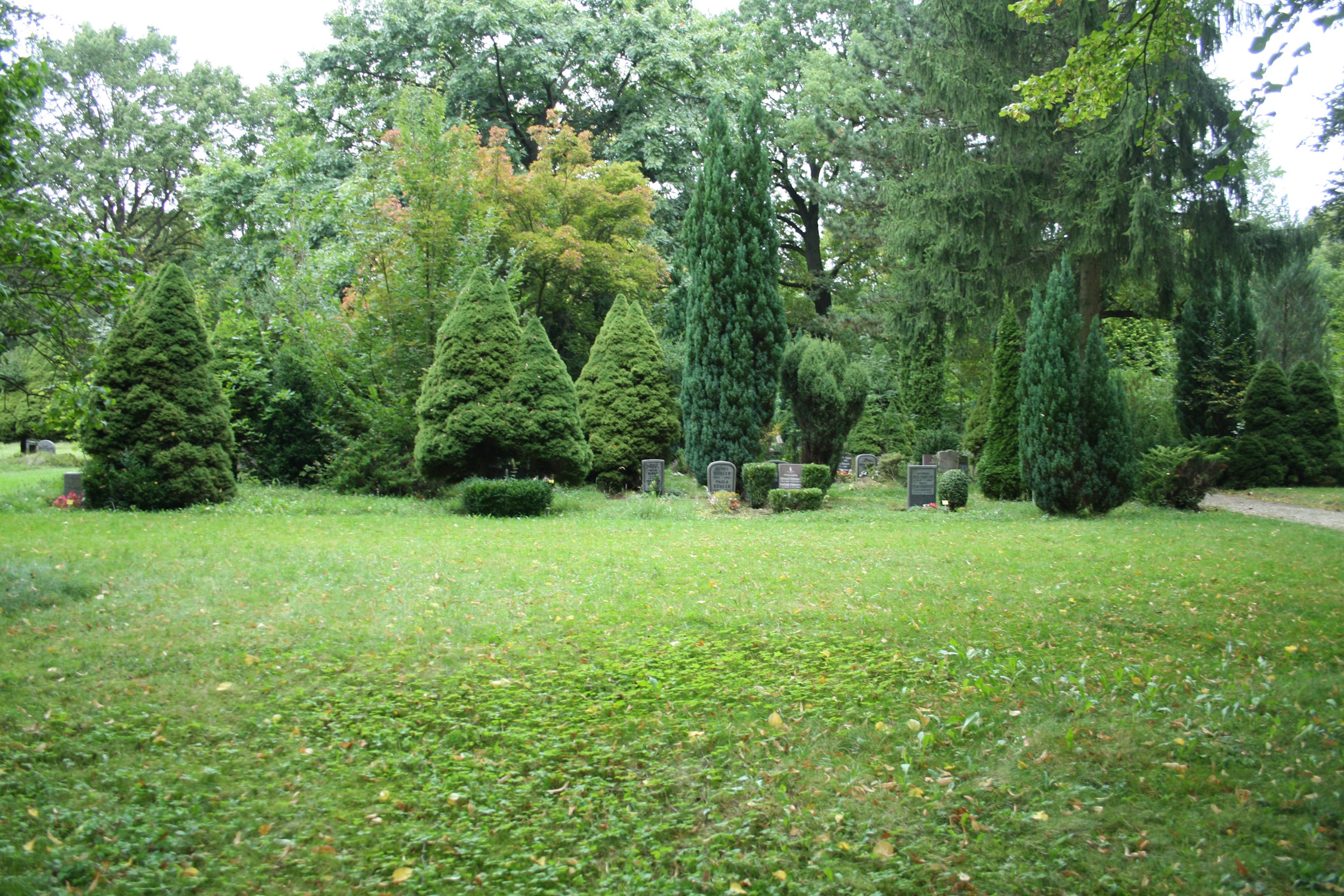Graböffnung auf dem Südfriedhof: Identität des Leichnams von Marinus van der Lubbe geklärt ...