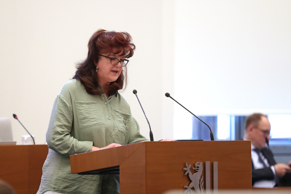 Der Stadtrat tagt: Debatte über den Leipziger Klimabeirat eskaliert ...