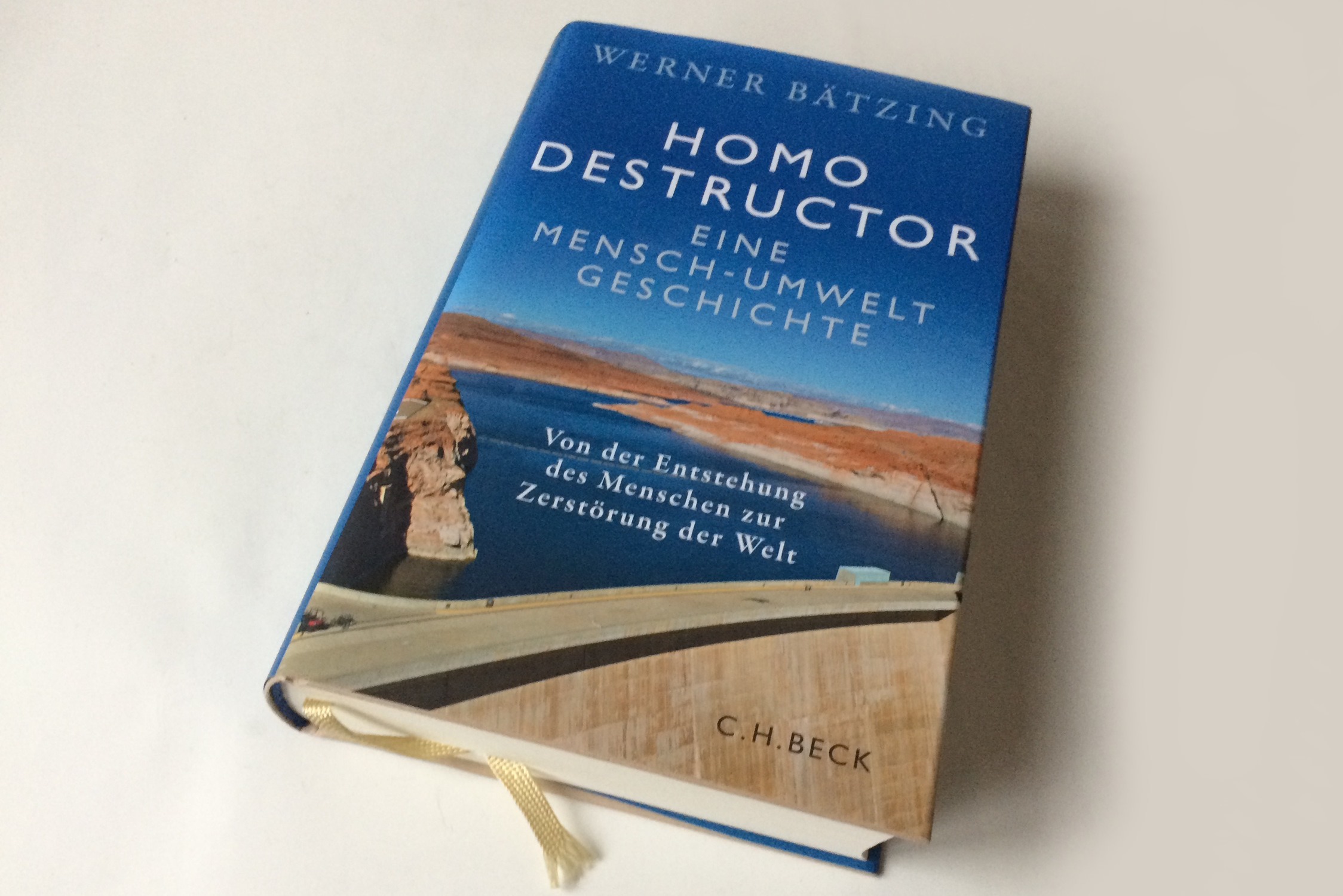 Homo Destructor: Warum und wann der Mensch zu einem Lebewesen wurde ...