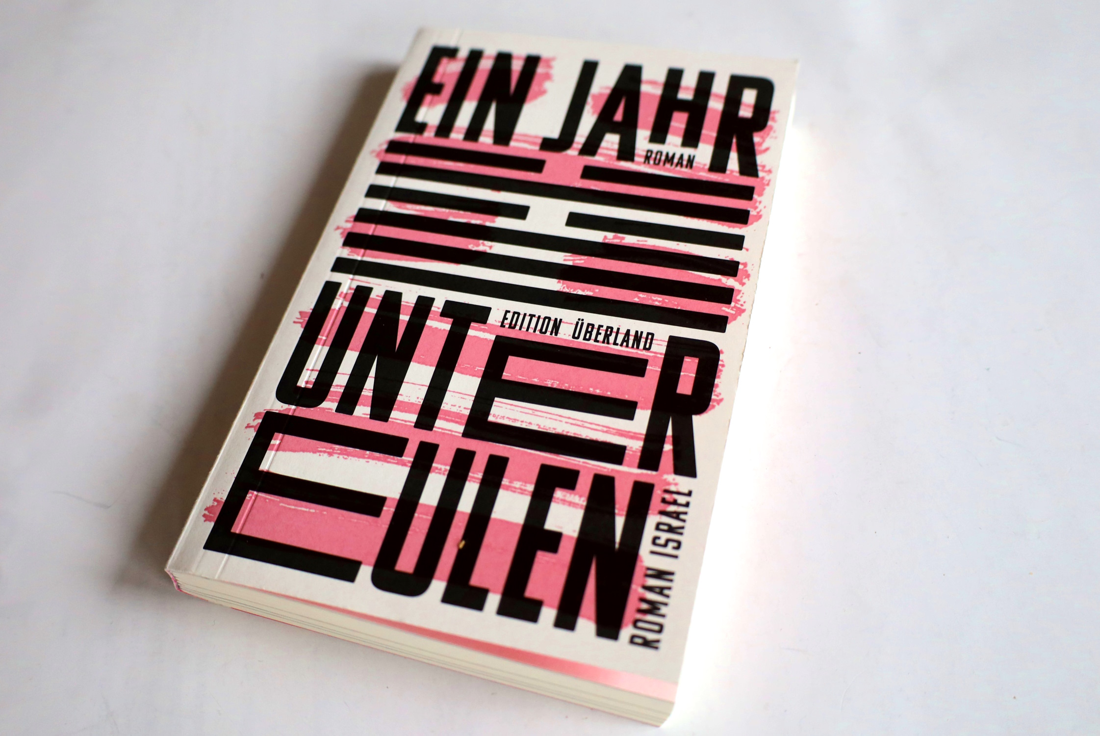 Ein Jahr unter Eulen: Das wunderliche Ende einer Weltreise in Kraków · Leipziger Zeitung