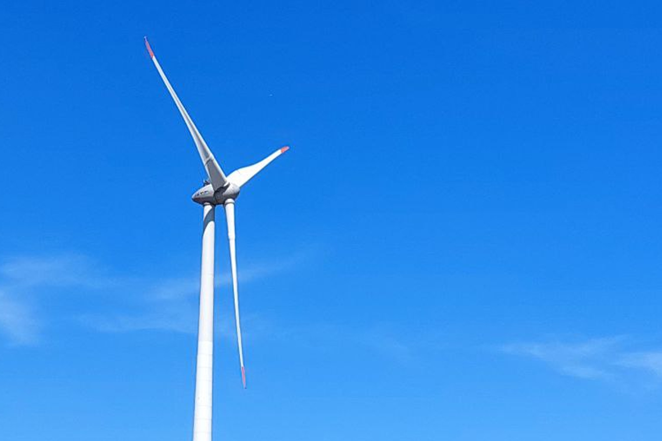 Nach Aussagen von Regina Kraushaar: BUND Sachsen warnt vor Planungschaos beim Ausbau ...